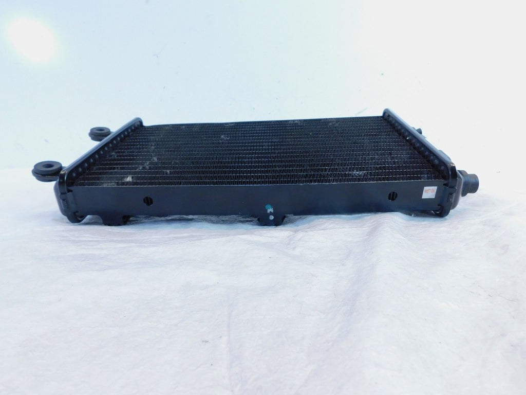2015-2020 Harley Davidson Street XG500 500 & XG750 750 Engine Coolant