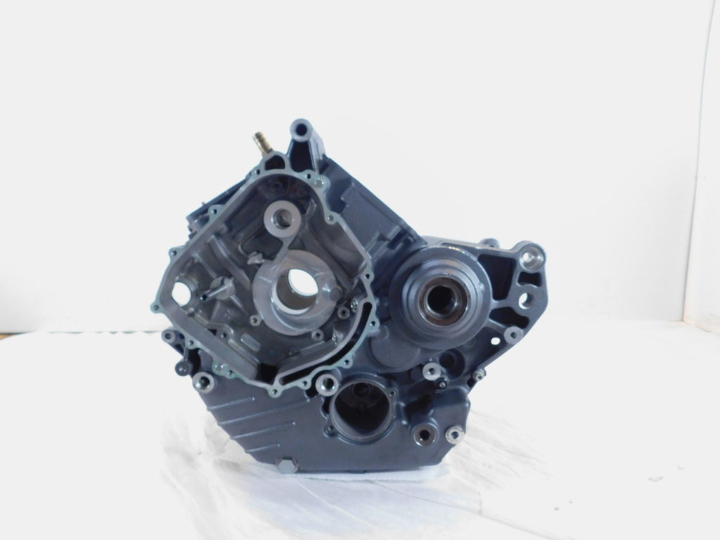 Erik Buell Racing EBR 1190 1190SX 1190RX Hammerhead Engine Crankcase ...
